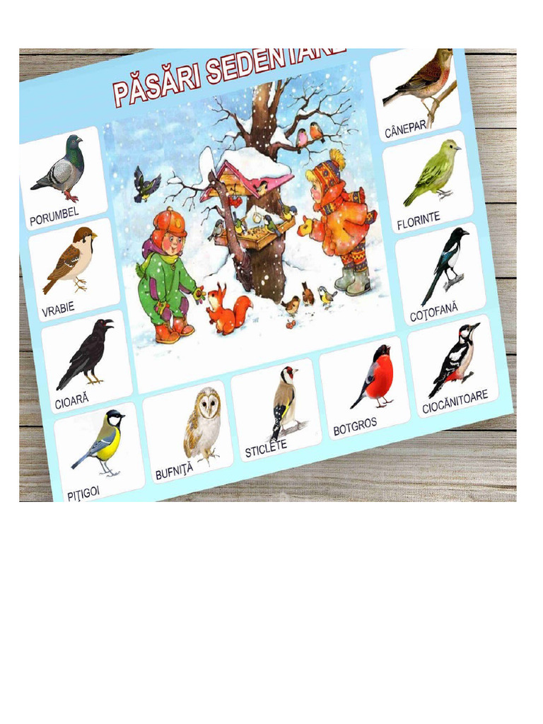 Pasari | PDF