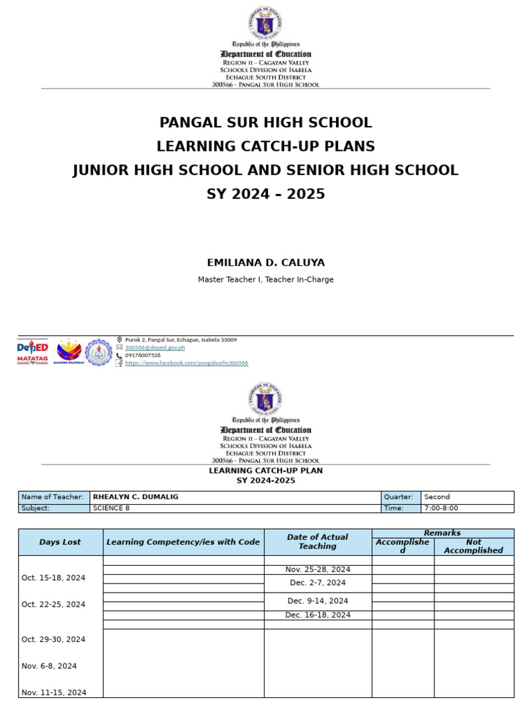 Learning Catch Up Plan Template | PDF