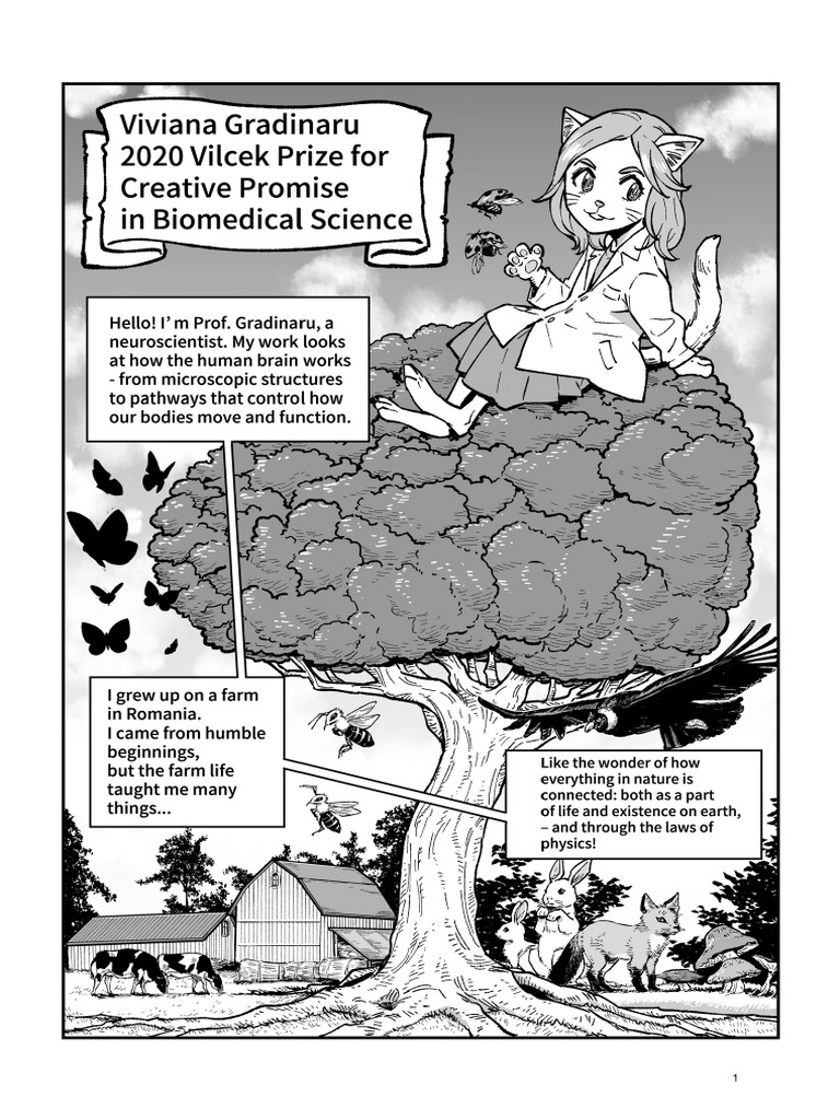 Viviana Gradinaru Manga11 PDF | PDF