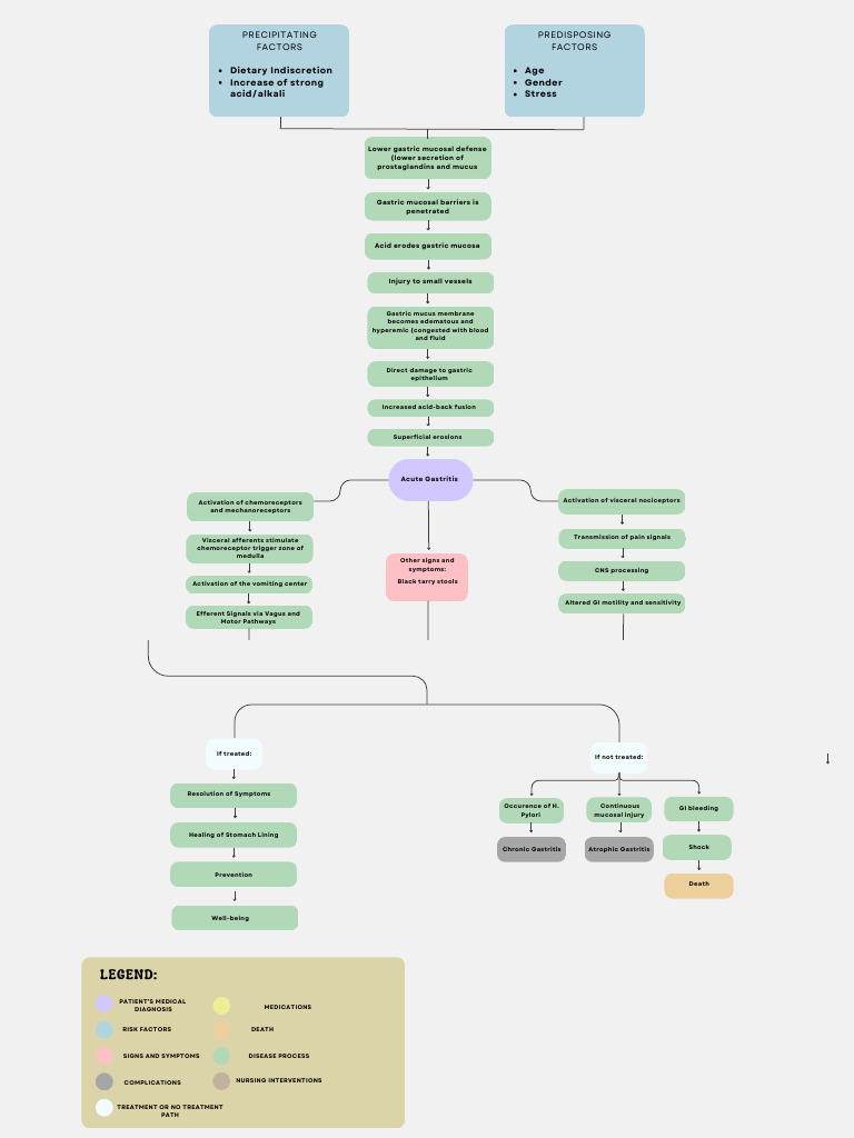 Acute Gastritis Pathophysiology | PDF | Pain | Stomach