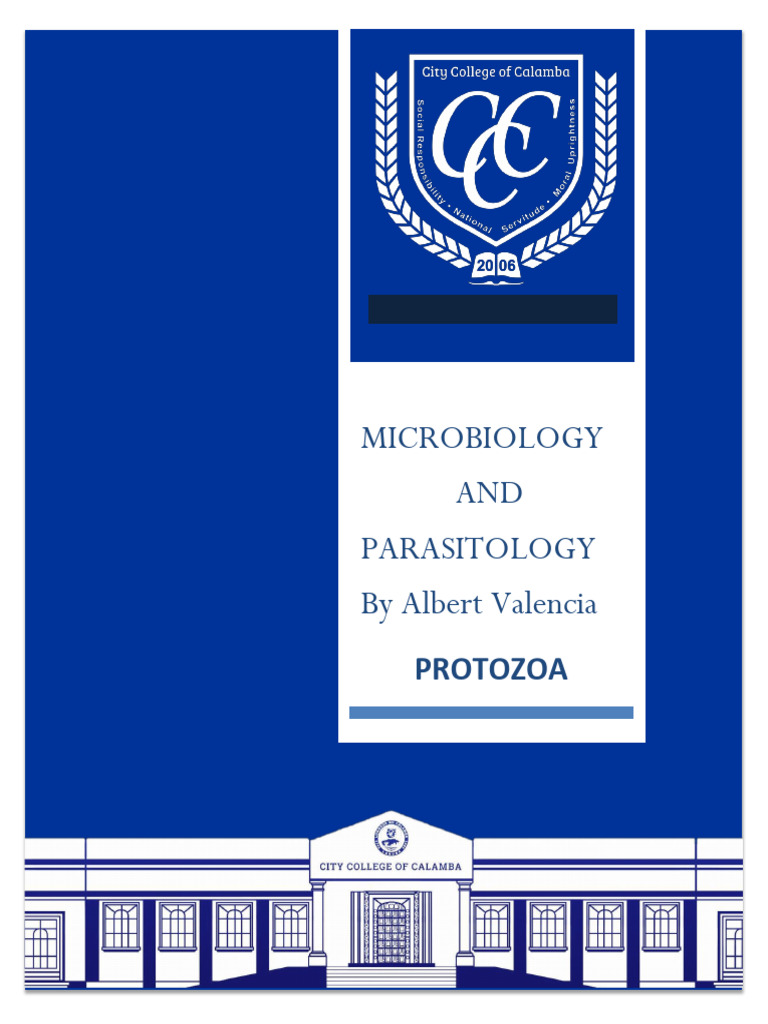 Module3 Protozoa | PDF | Protozoa | Plasmodium Module3 Protozoa | PDF | Protozoa | Plasmodium