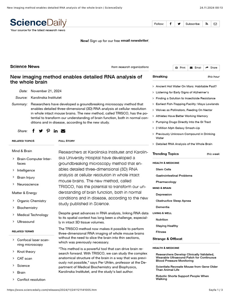 New Imaging Method Enables Detailed RNA Analysis of The Whole Brain ...
