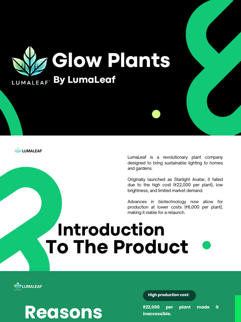 Luma Leaf | PDF | Marketing | Brand