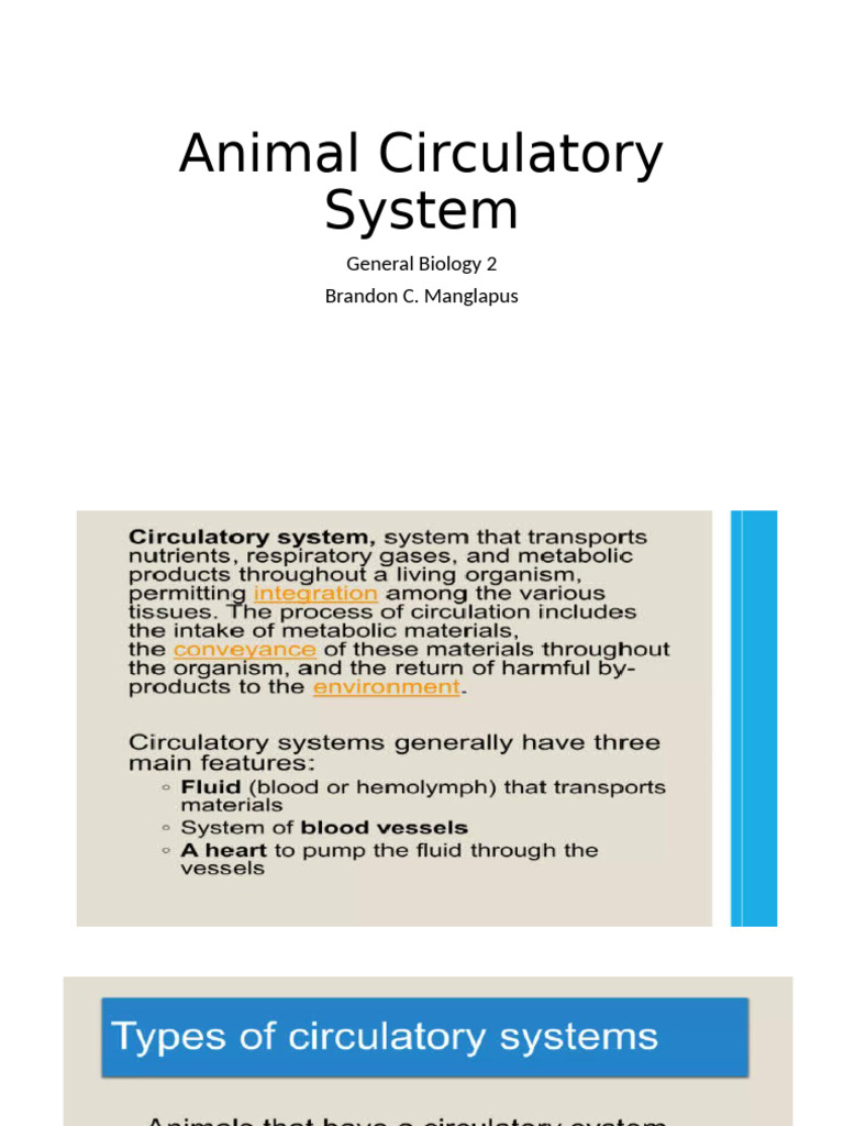 Animal Circulatory System | PDF