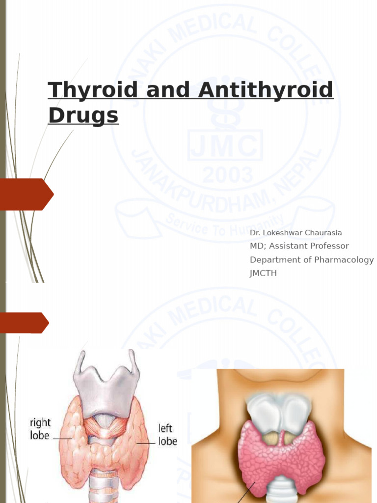 Thyroid and Antithyroid Drugs | PDF | Thyroid | Hypothyroidism
