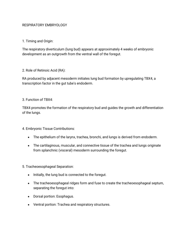 Respiratory Embryo Chatgpt 2 | PDF | Lung | Larynx