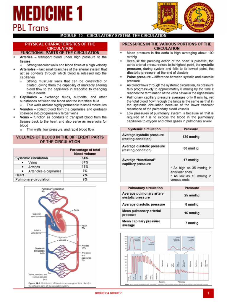 Trans Mod10 | PDF | Blood Vessel | Blood Pressure