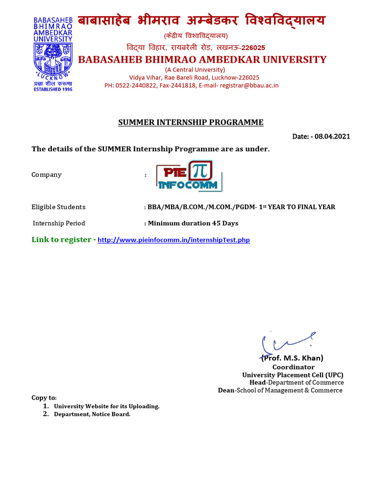 Pie Internship Programme | PDF | Master Of Business Administration | Digital Marketing