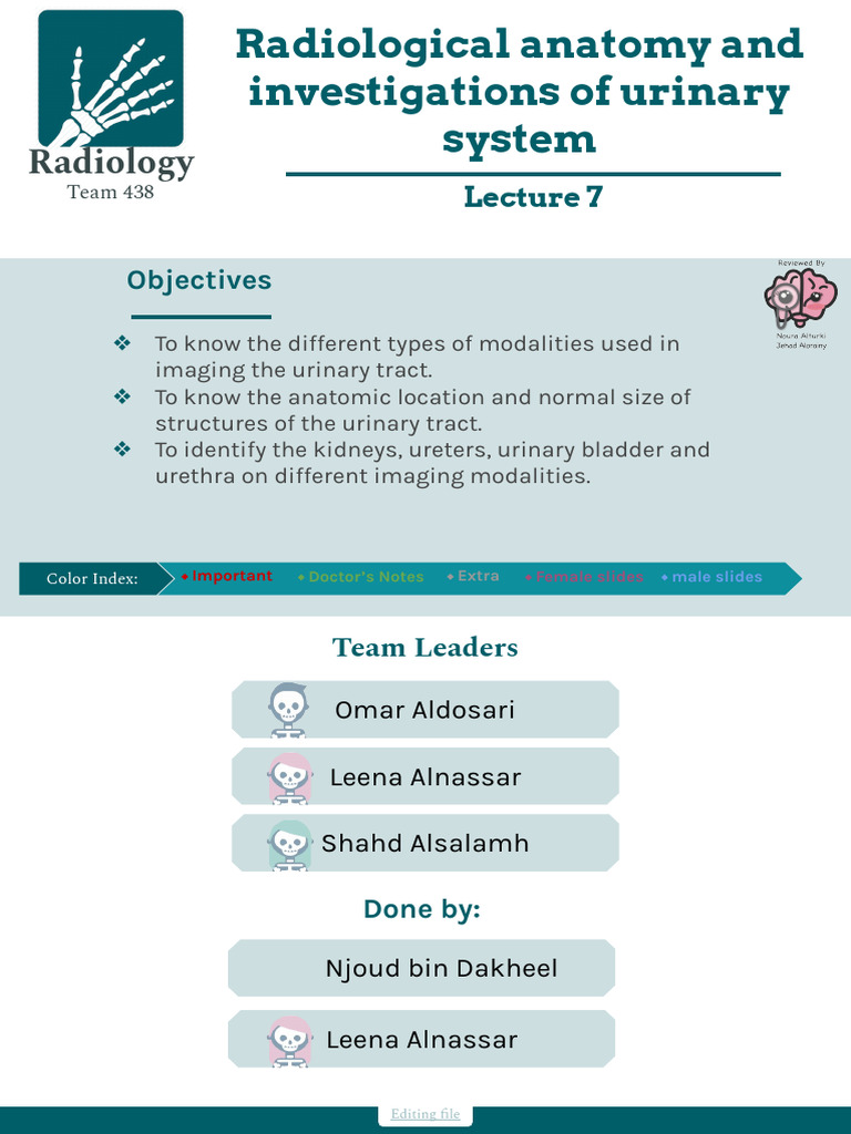 7-Radiological Anatomy and Investigations of Urinary System | PDF ...