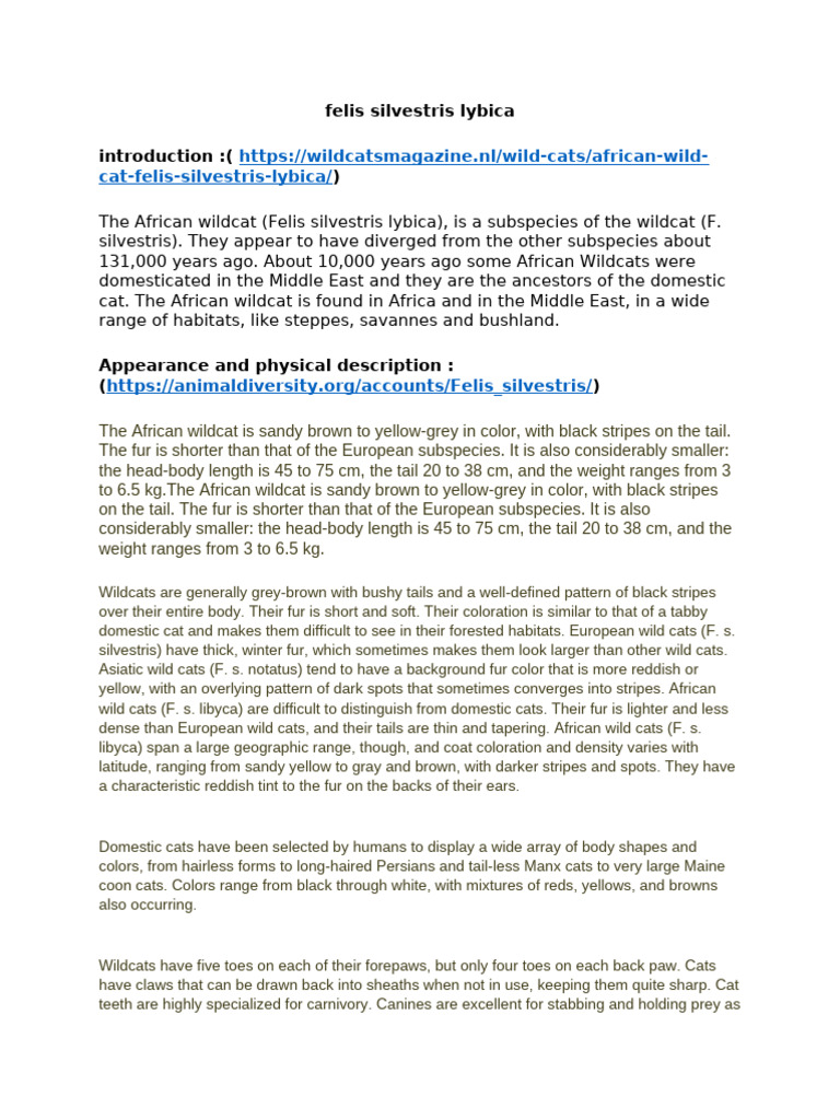Document 2 | PDF | Cats