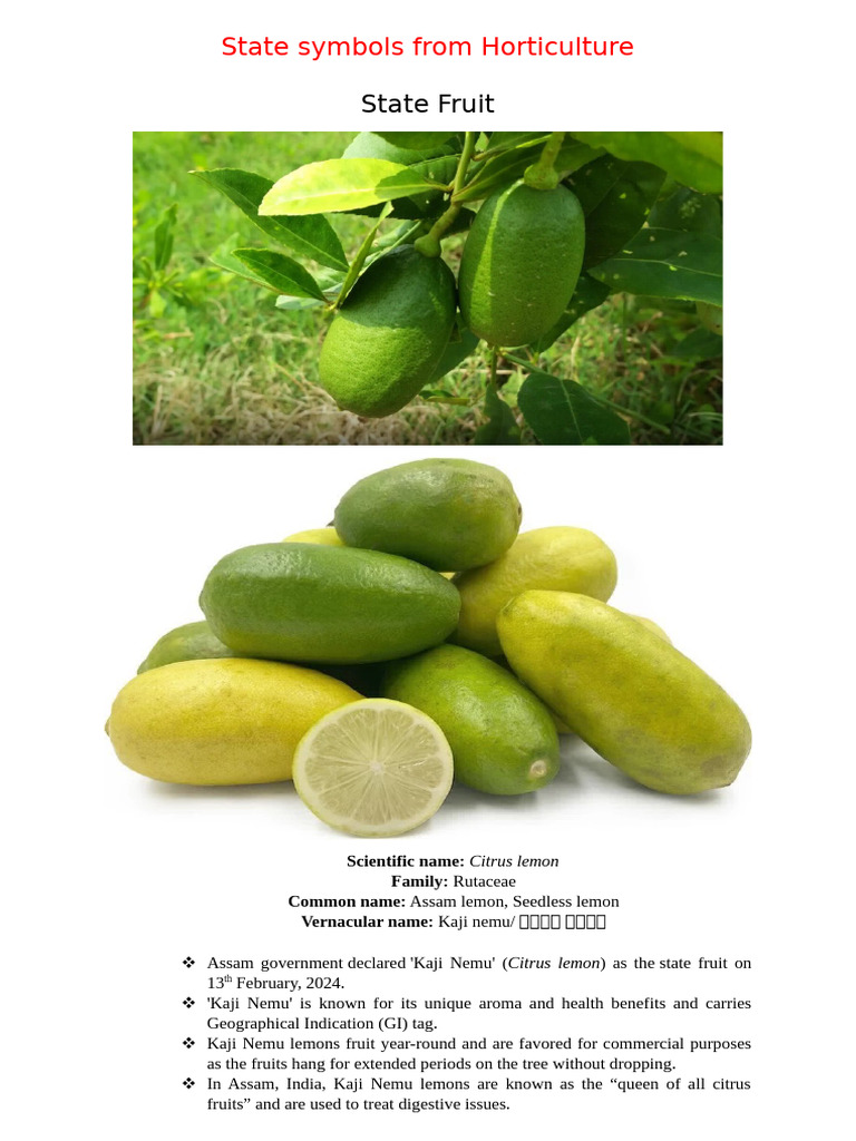 State Symbols From Horticulture | PDF