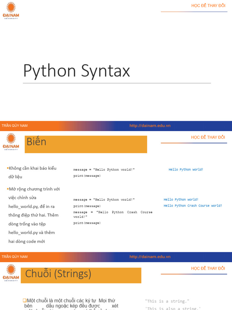Python Syntax | PDF