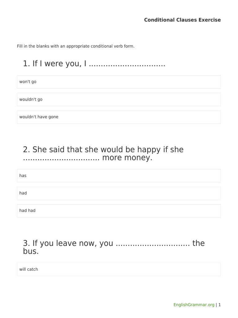 Conditional Clauses Exercise | PDF