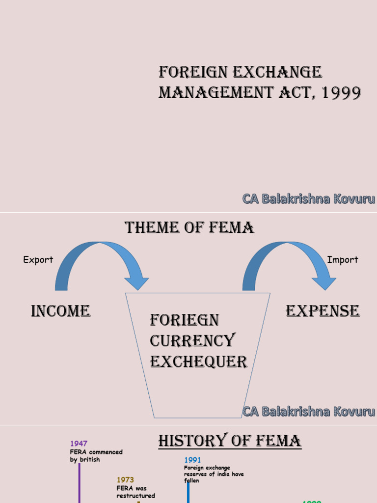 E1.FEMA PPT | PDF | Economies | Money