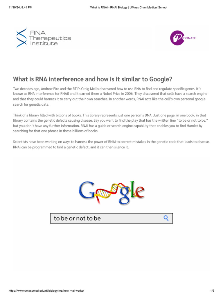 What is RNAi - RNAi Biology _ UMass Chan Medical School | PDF | Rna Interference | Rna