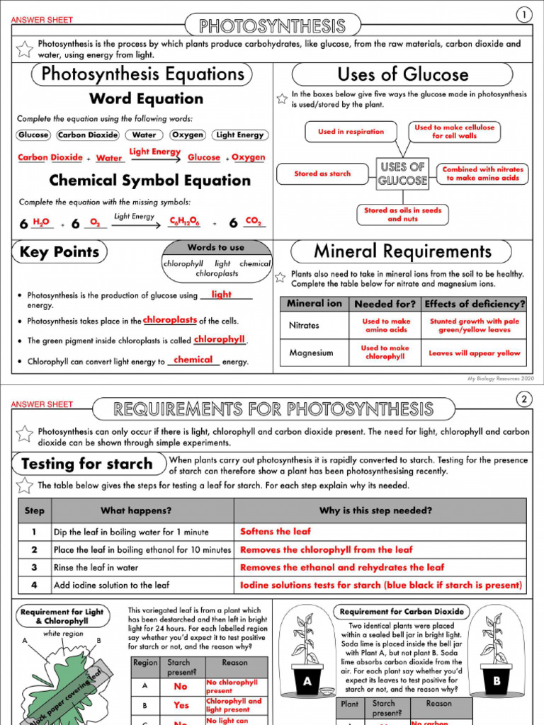 Obtaining Food Worksheet 2 MS | PDF