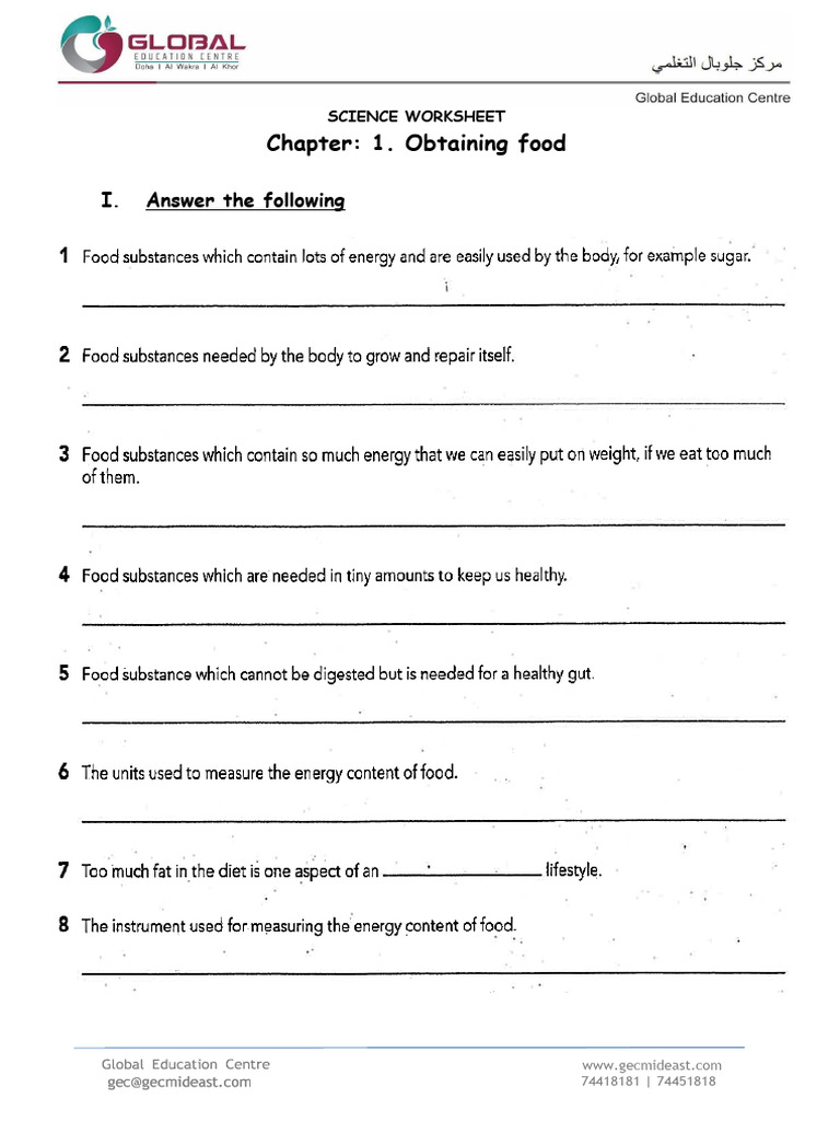 Obtaining Food Worksheet Part 1 | PDF | Technology & Engineering