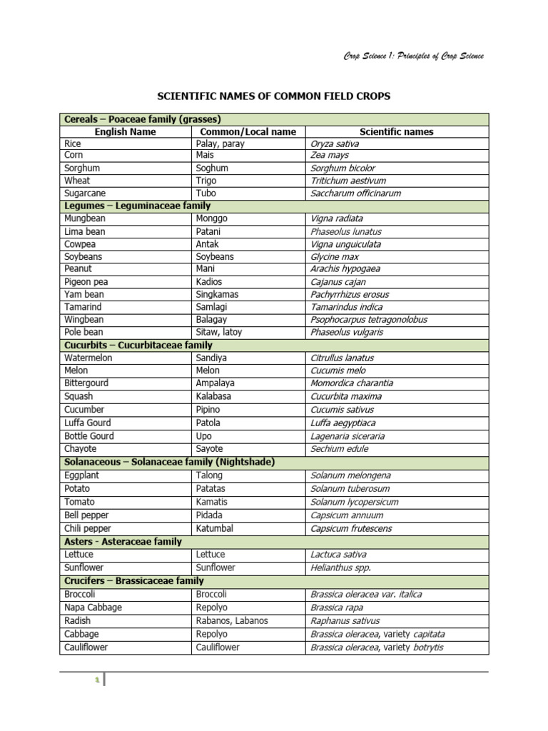 Scientific Names of Common Crops | PDF | Bean | Broccoli
