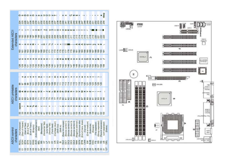 Ascii Print | PDF