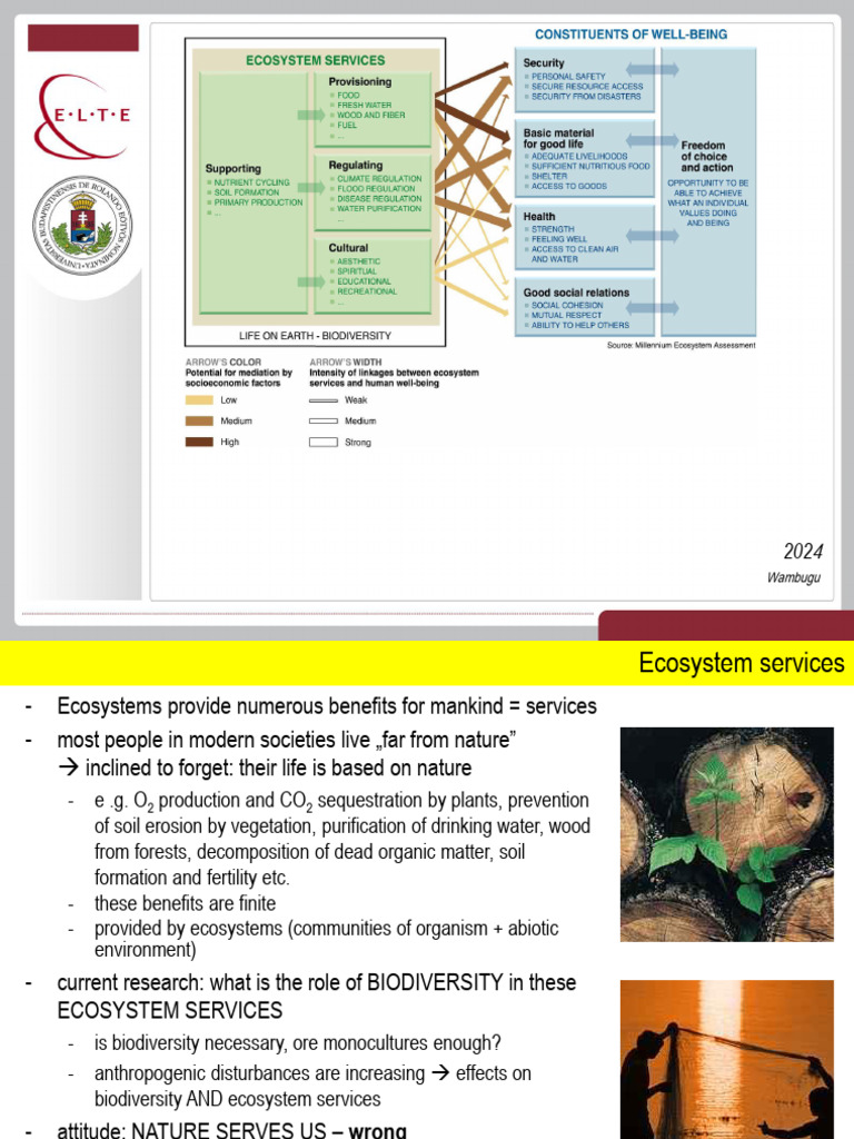 Applied Ecology - 03 - Ecosystem - Services | PDF | Ecosystem | Biodiversity