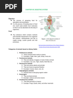 Fish Digestive System: Anatomy & Functions | PDF | Mouth | Tooth