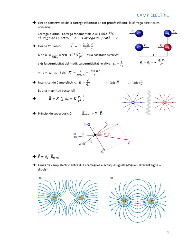 Camp Electric Formulari | PDF