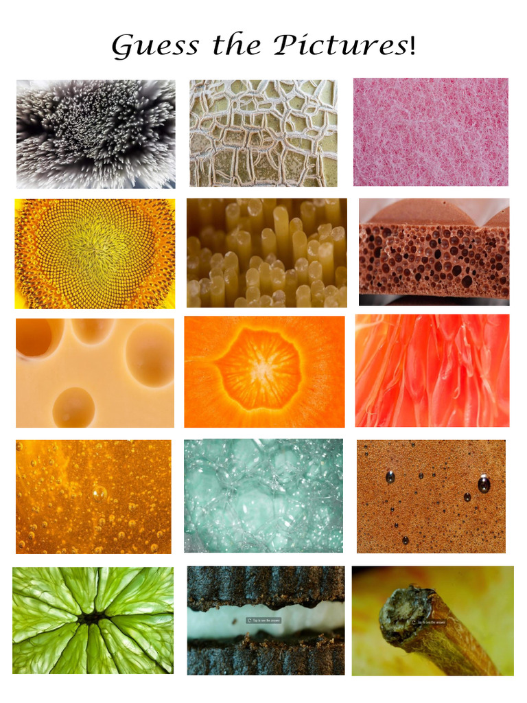Guess The Pictures - 1 | PDF