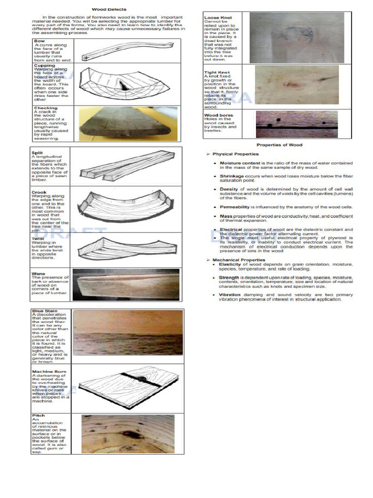 Wood Defects | PDF
