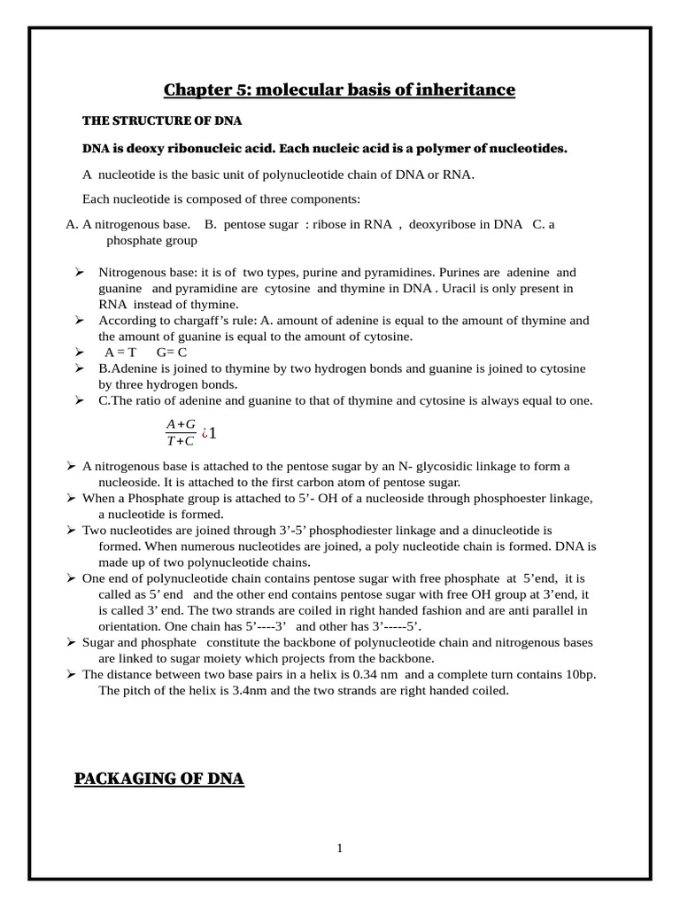 Notes - Molecular Basis of Inheritance | PDF | Operon | Dna Replication