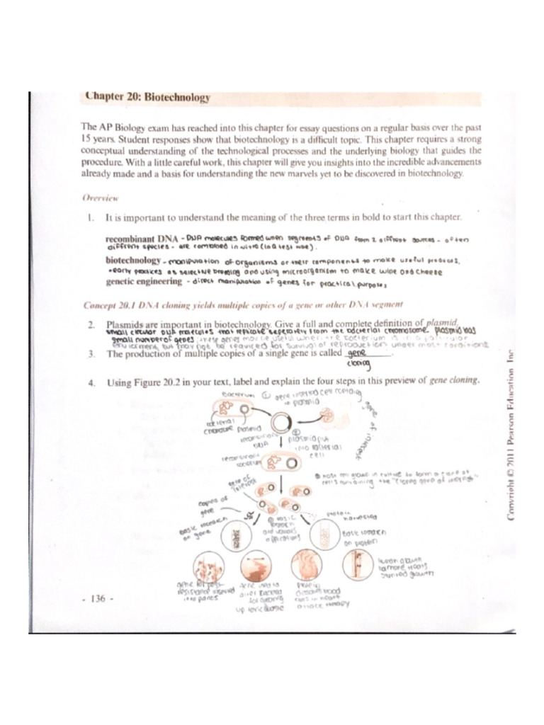 Ap Biology Research Paper | PDF