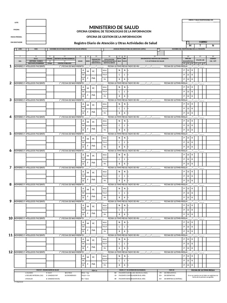 Formato HIS MINSA | PDF | Medicina | Programas sociales