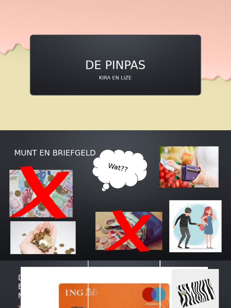 Pinpas | PDF