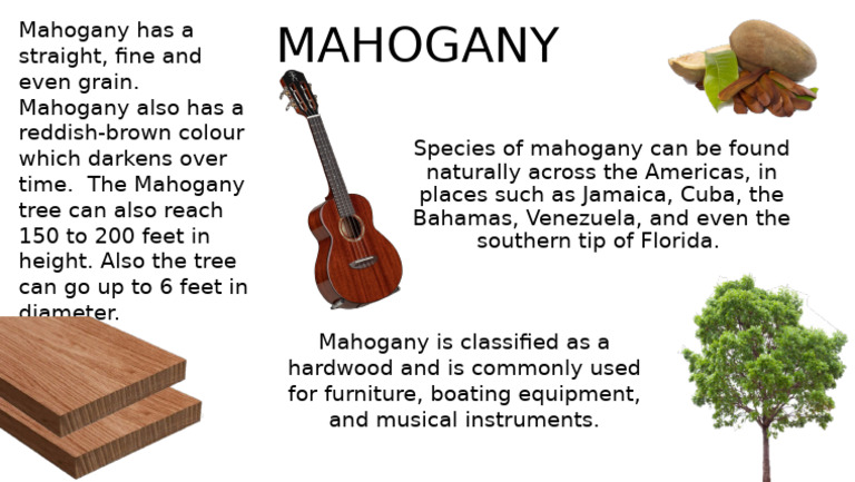 Mahogany | PDF