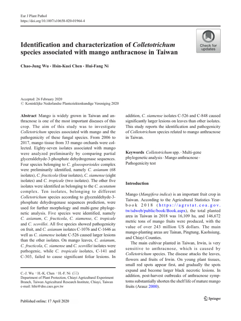 Colletotrichum Species in Mango Anthracnose | PDF | Mango | Plants