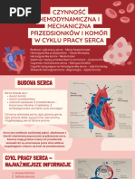 A. Przystańska - Anatomia - Jama Nosowa I Zatoki Przynosowe | PDF