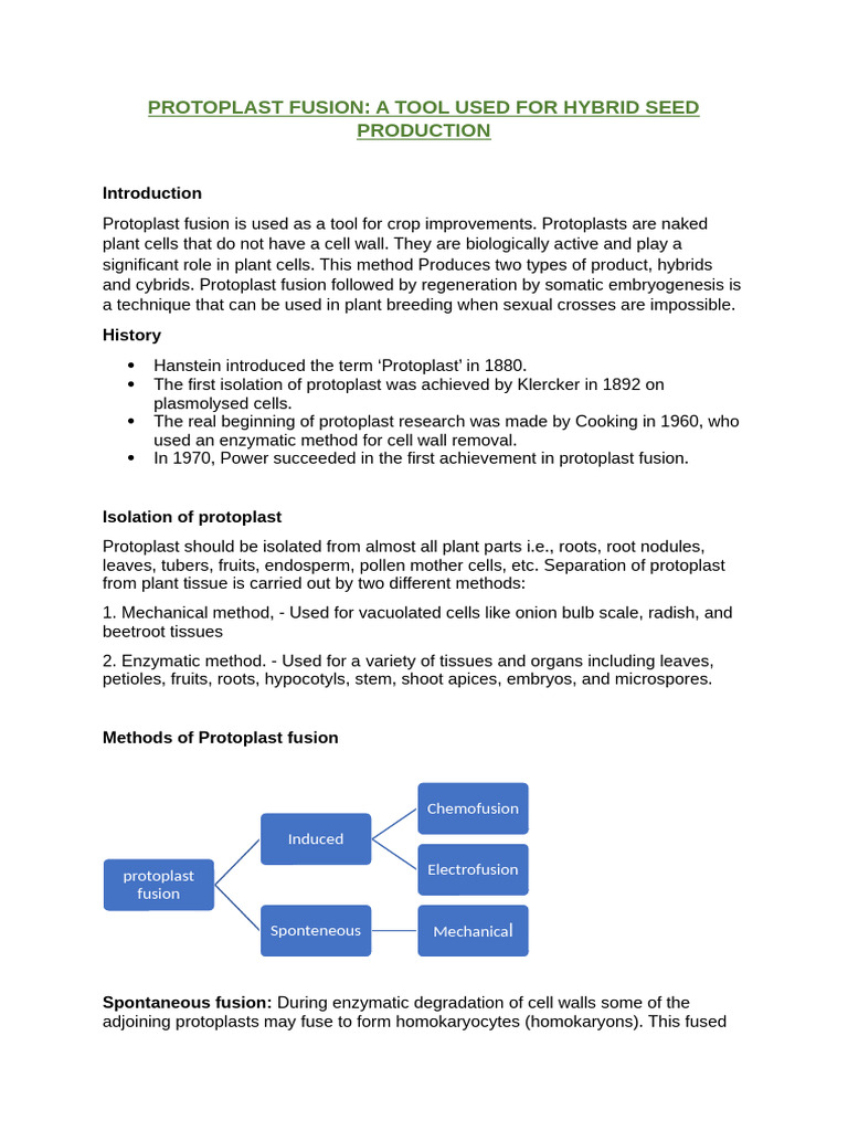 PROTOPLAST FUSION | PDF | Hybrid (Biology) | Biotechnology