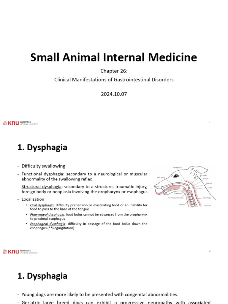 CH 26 Clinical Signs of GI Disorders | PDF | Gastrointestinal Tract ...