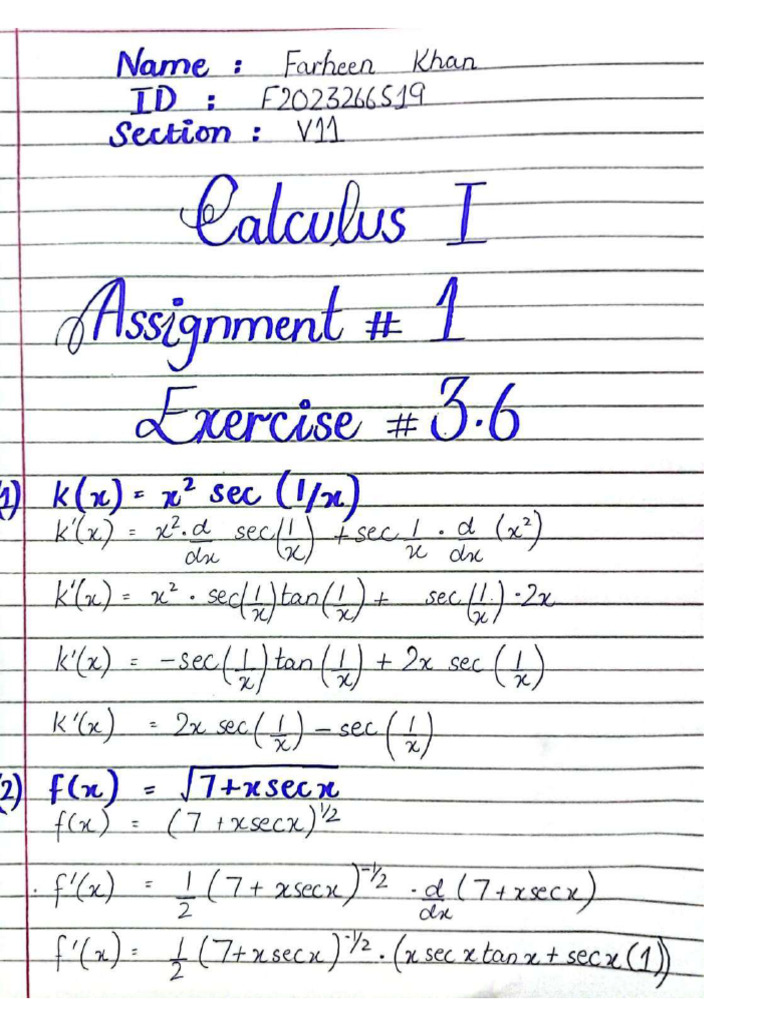 Calculus Assignment 1 | PDF