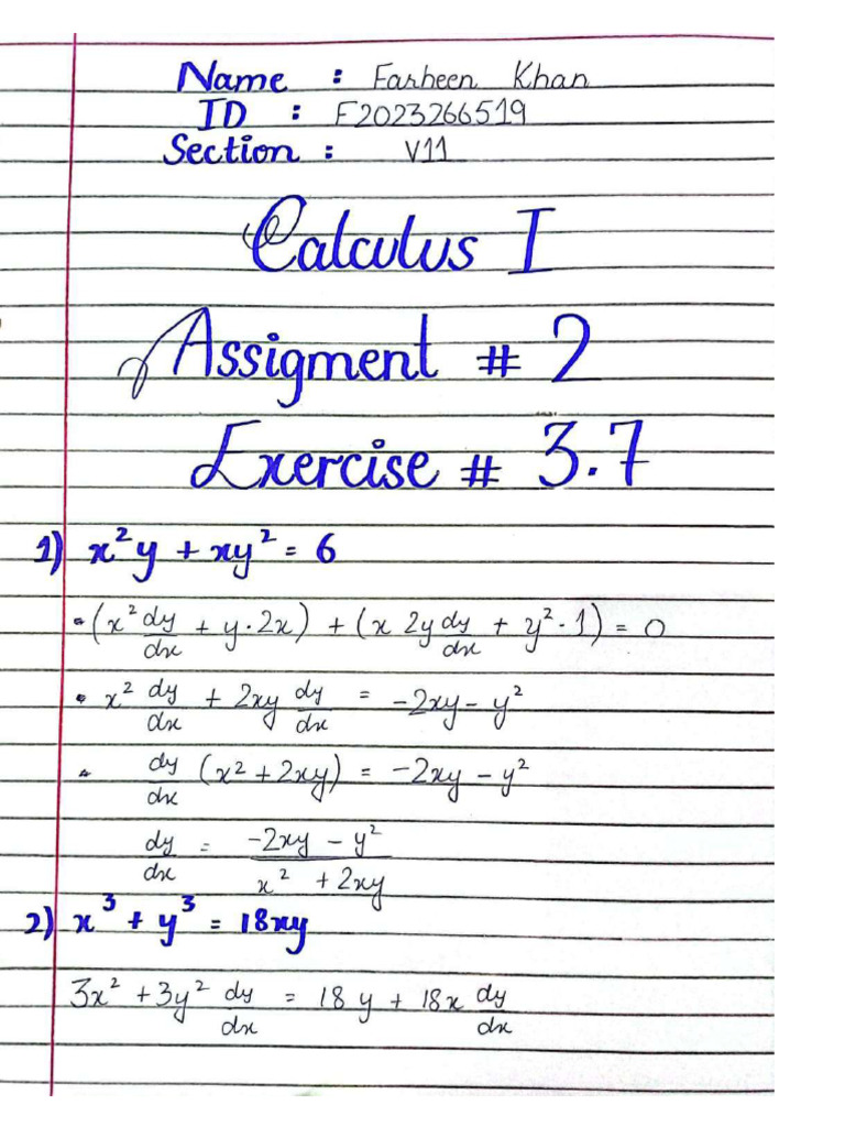 Calculus Assignment 2 | PDF