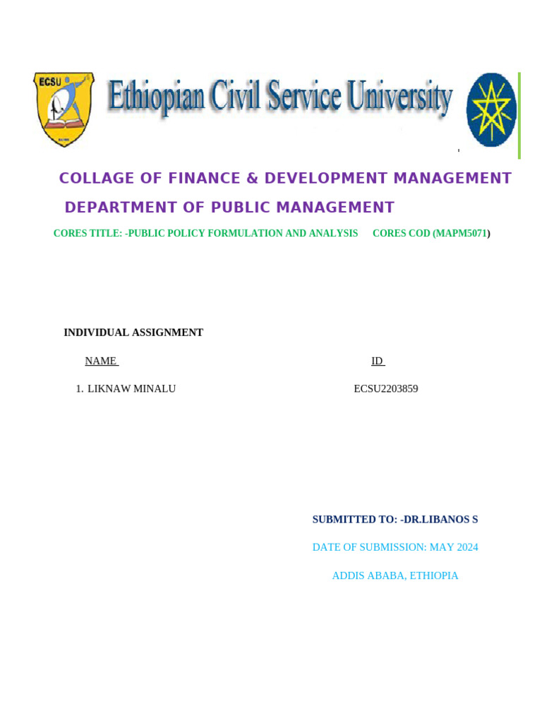 INDIVIDUAL ASSIGNMENT - Public Policy | PDF | Policy | Institution