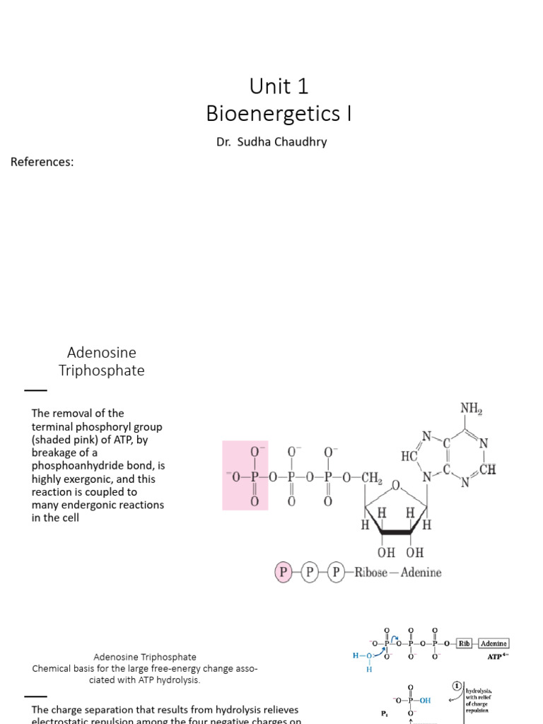 Unit 1 Bioenergetics I: Dr. Sudha Chaudhry References | PDF | Adenosine Triphosphate | Phosphate