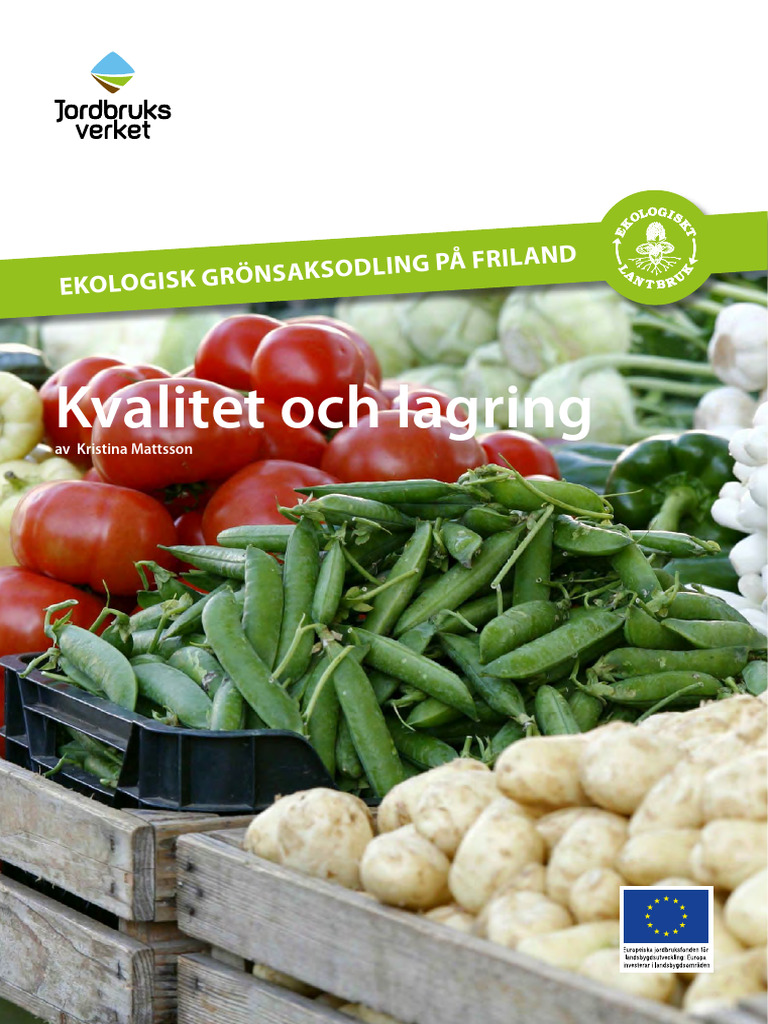 Kvalitet Och Lagring | PDF