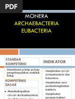 Macam Macam Bakteri | PDF