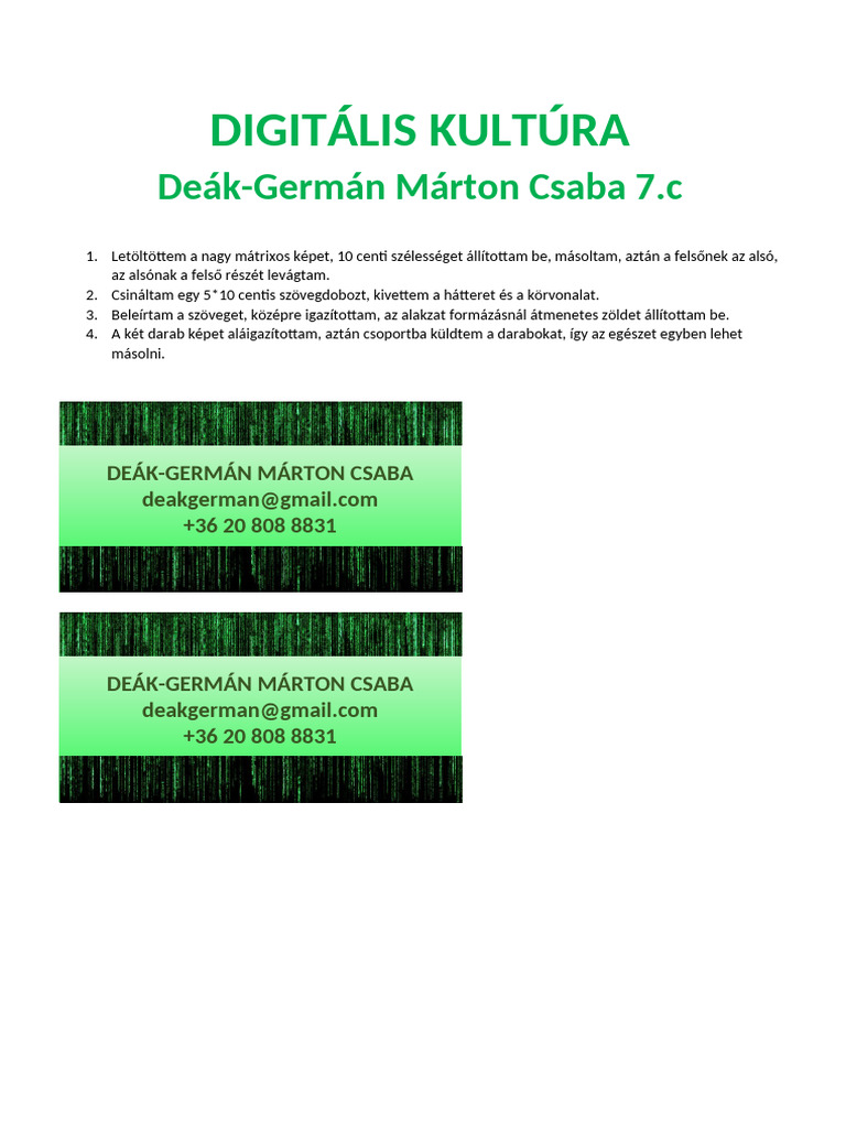 Nevjegykartya Deak German Marton Csaba | PDF