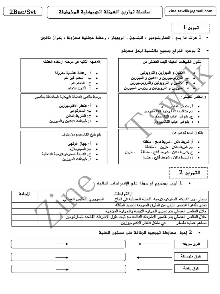 S Rie - Muscle2018 | PDF