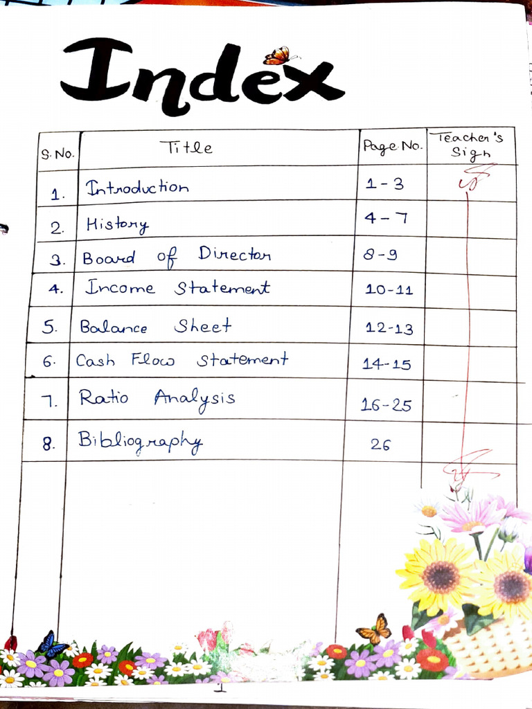 Accounts Project | PDF