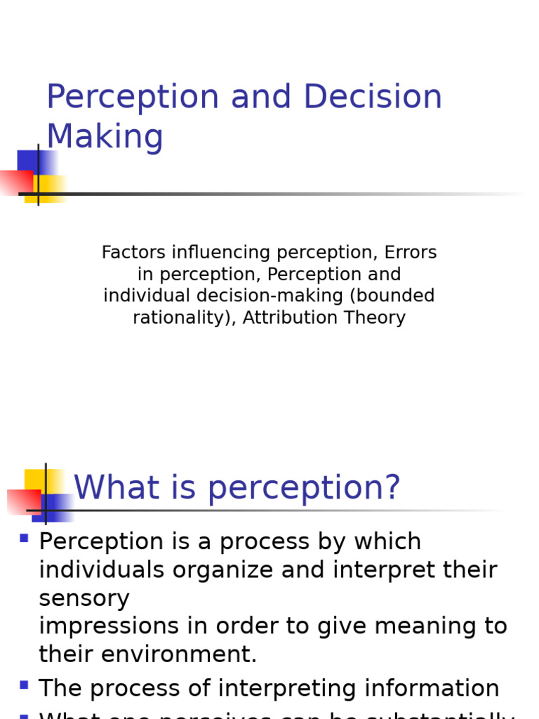 Perception & Decision Making | PDF | Perception | Stereotypes