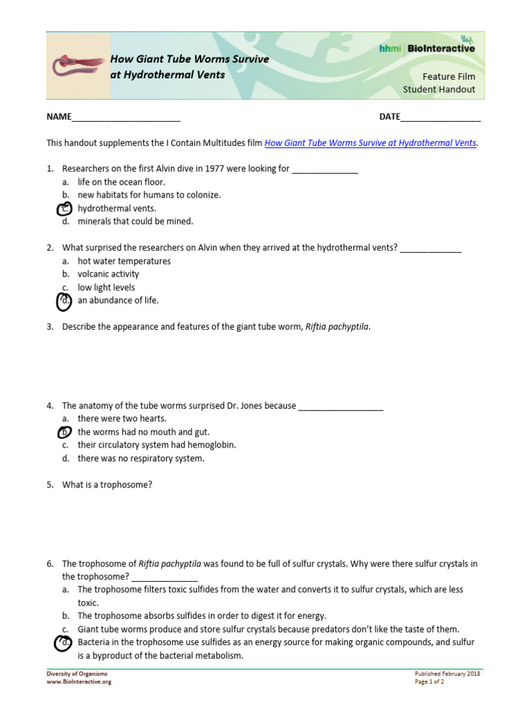 How Giant Tube Worms Survive at Hydrothermal Vents | PDF | Hydrothermal ...