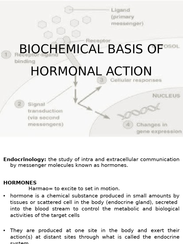 Biochemical Basis of Hormonal Action 2020 | PDF | Cell Signaling | Hormone