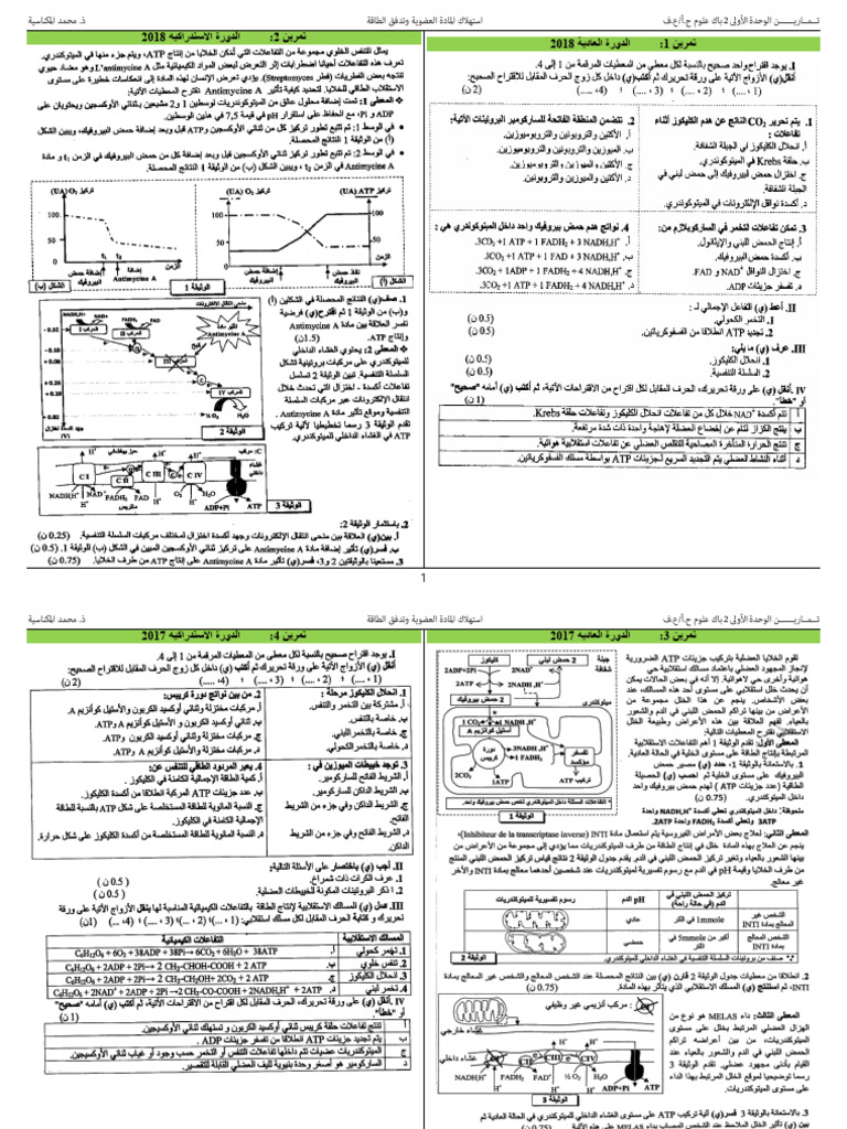 2bac-Unité 1 - Exercices by ELMEKNASSIA | PDF